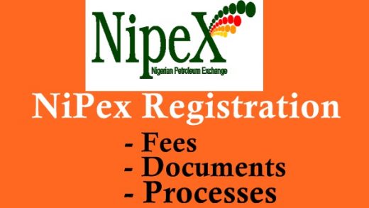 Business Support & Local Partner Service in Nigeria - Aziza Nigeria